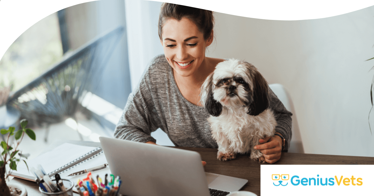 10 Topics Veterinary Clinics Should Blog About to Attract Pet Owners