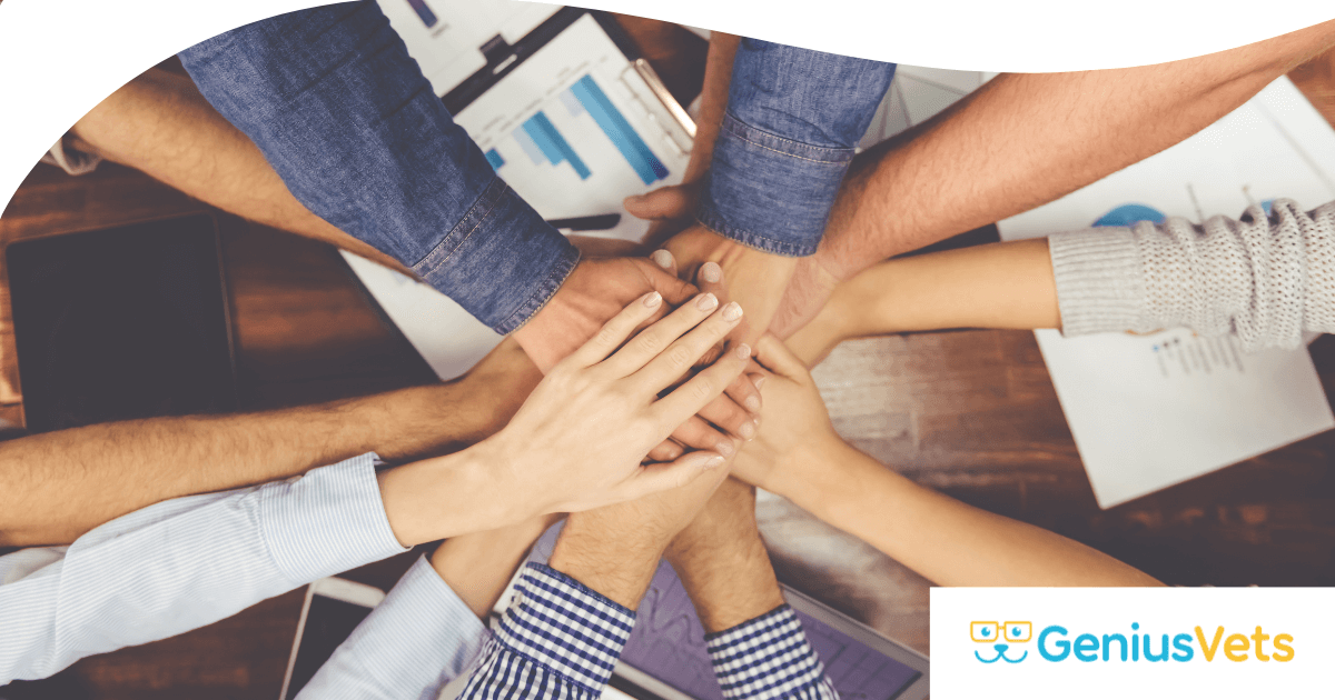 How to Run Effective Veterinary Team Meetings That Work