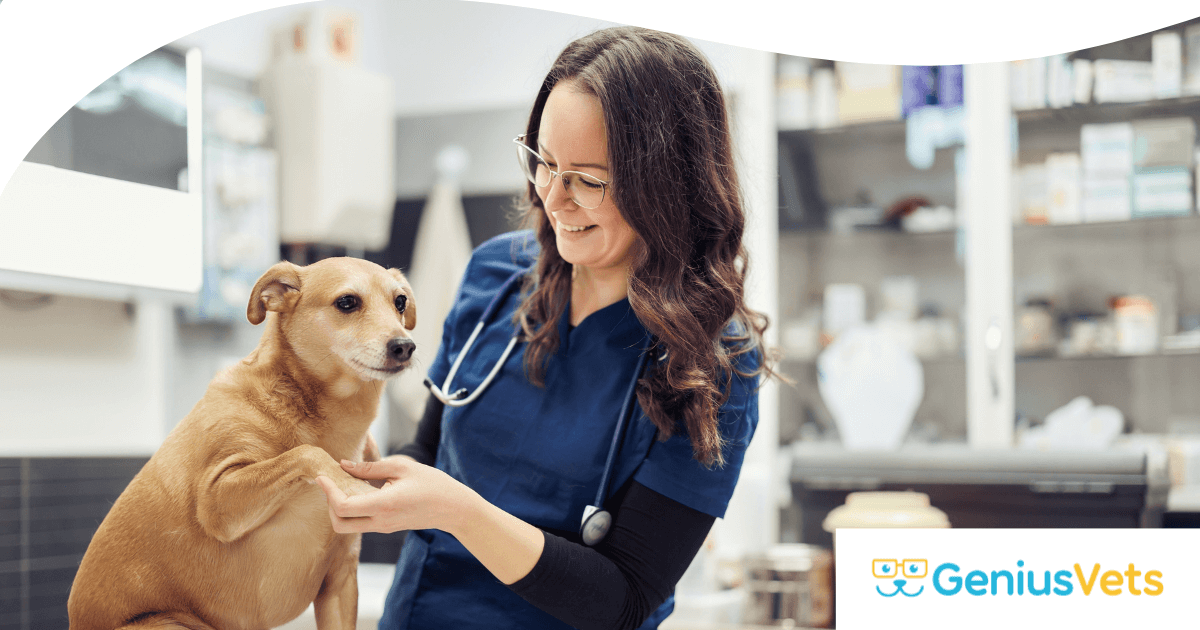 Leading Your Veterinary Practice With Vision | GeniusVets