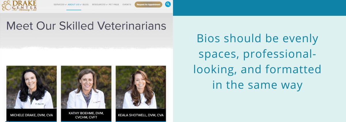 What Are All Clients Looking For In A Veterinary Website?