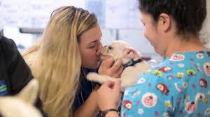 Standiford Veterinary Clinic – Modesto, CA