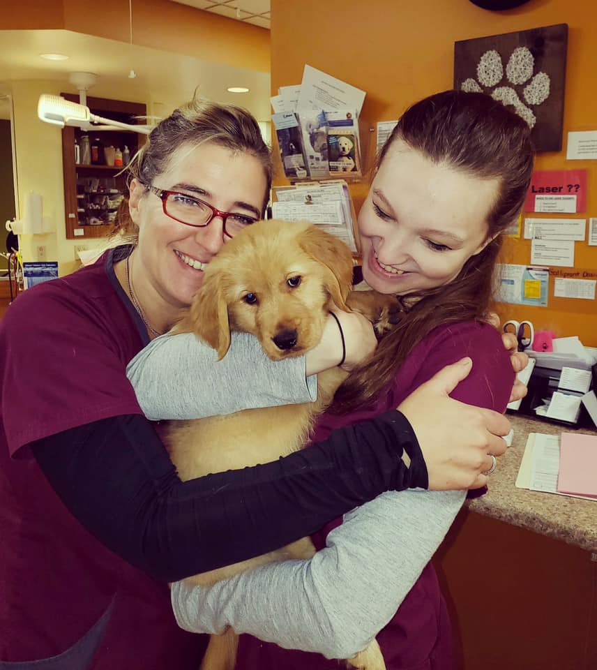 4 Paws Veterinary Care – Wynantskill, NY