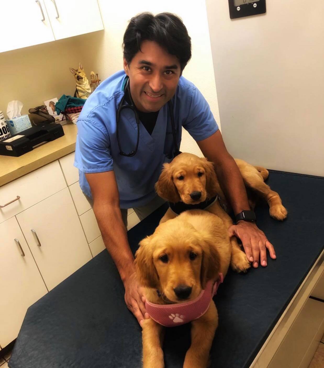 Central Valley Veterinary Clinic – Chowchilla, CA