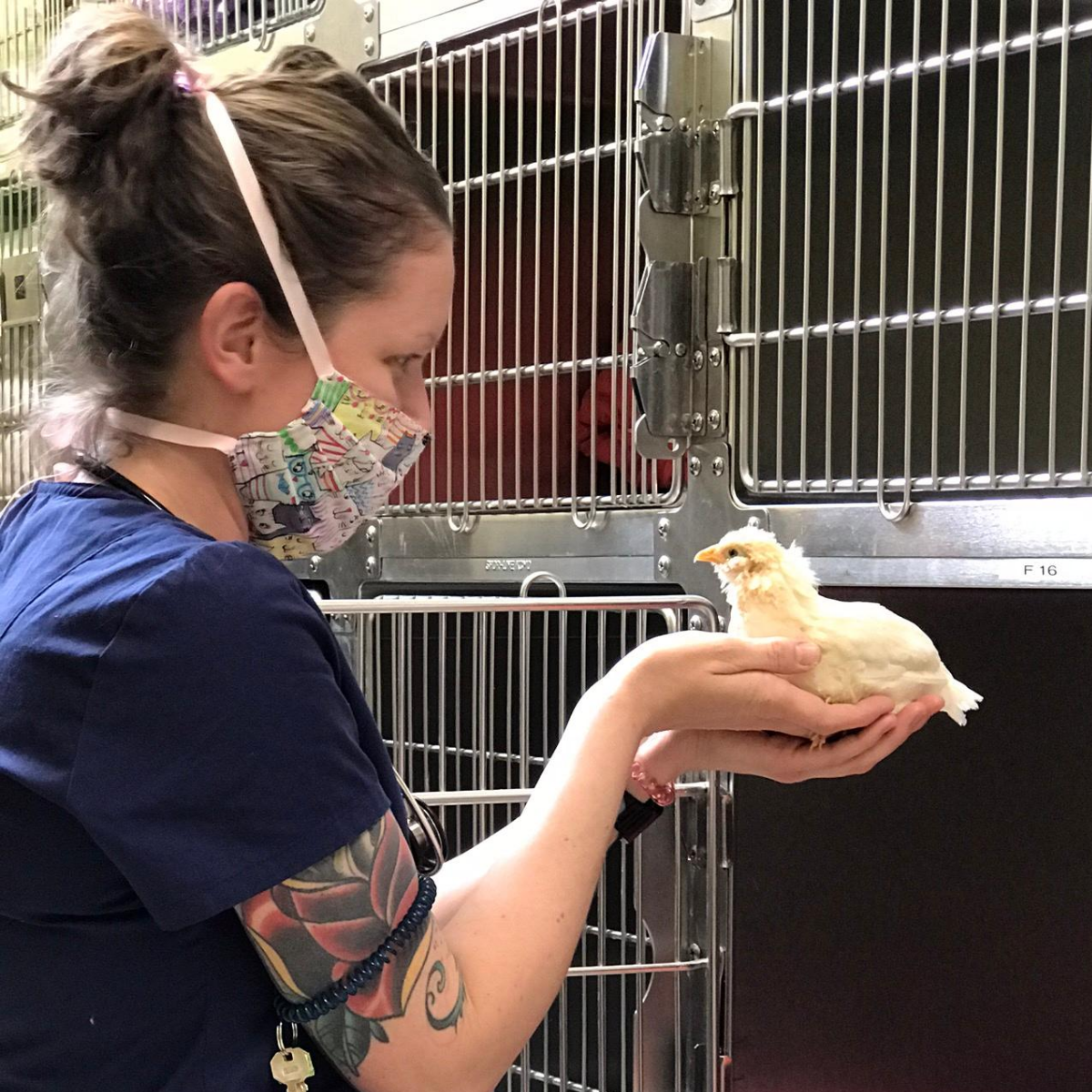 DoveLewis Veterinary Emergency & Specialty Hospital – Portland, OR