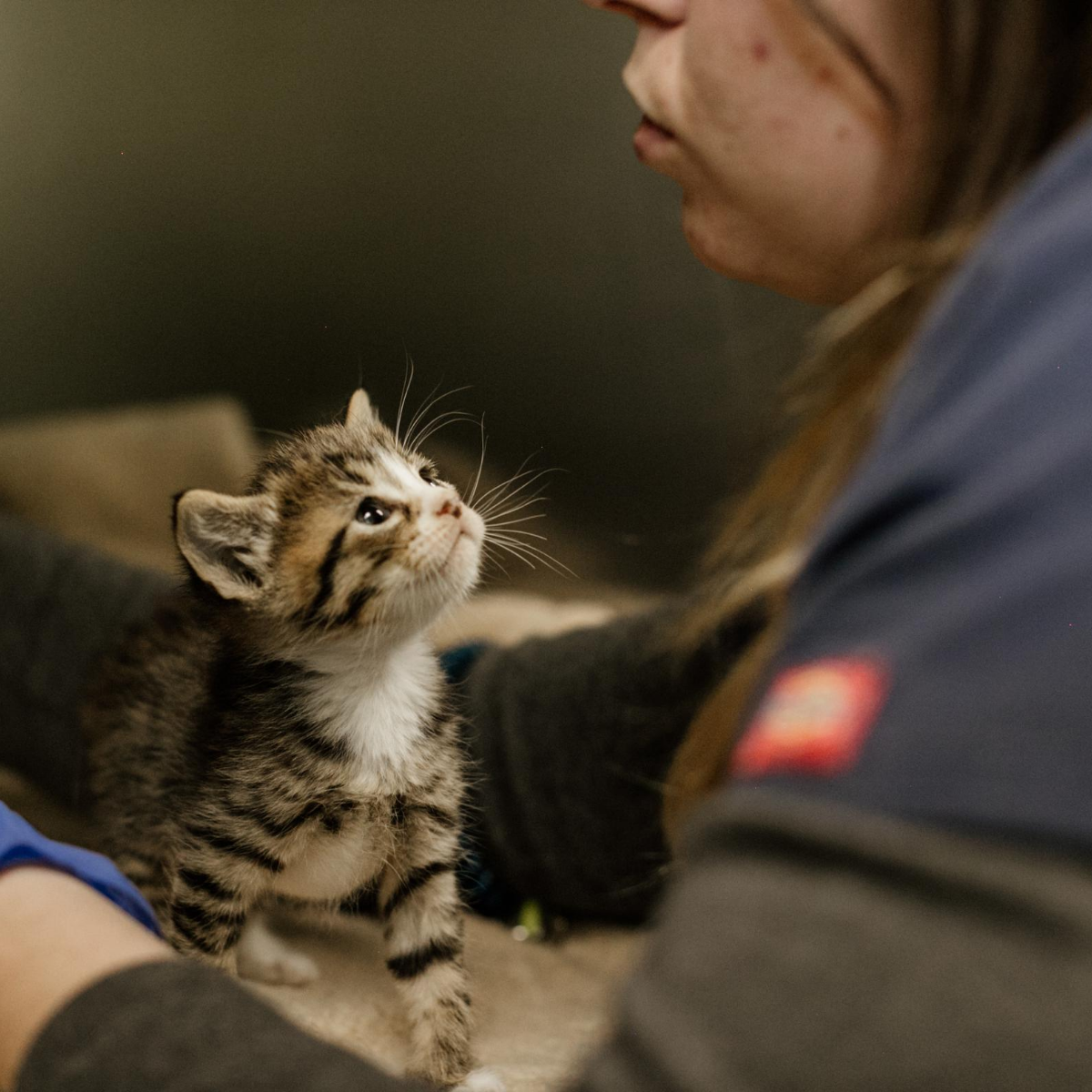 DoveLewis Veterinary Emergency & Specialty Hospital – Portland, OR