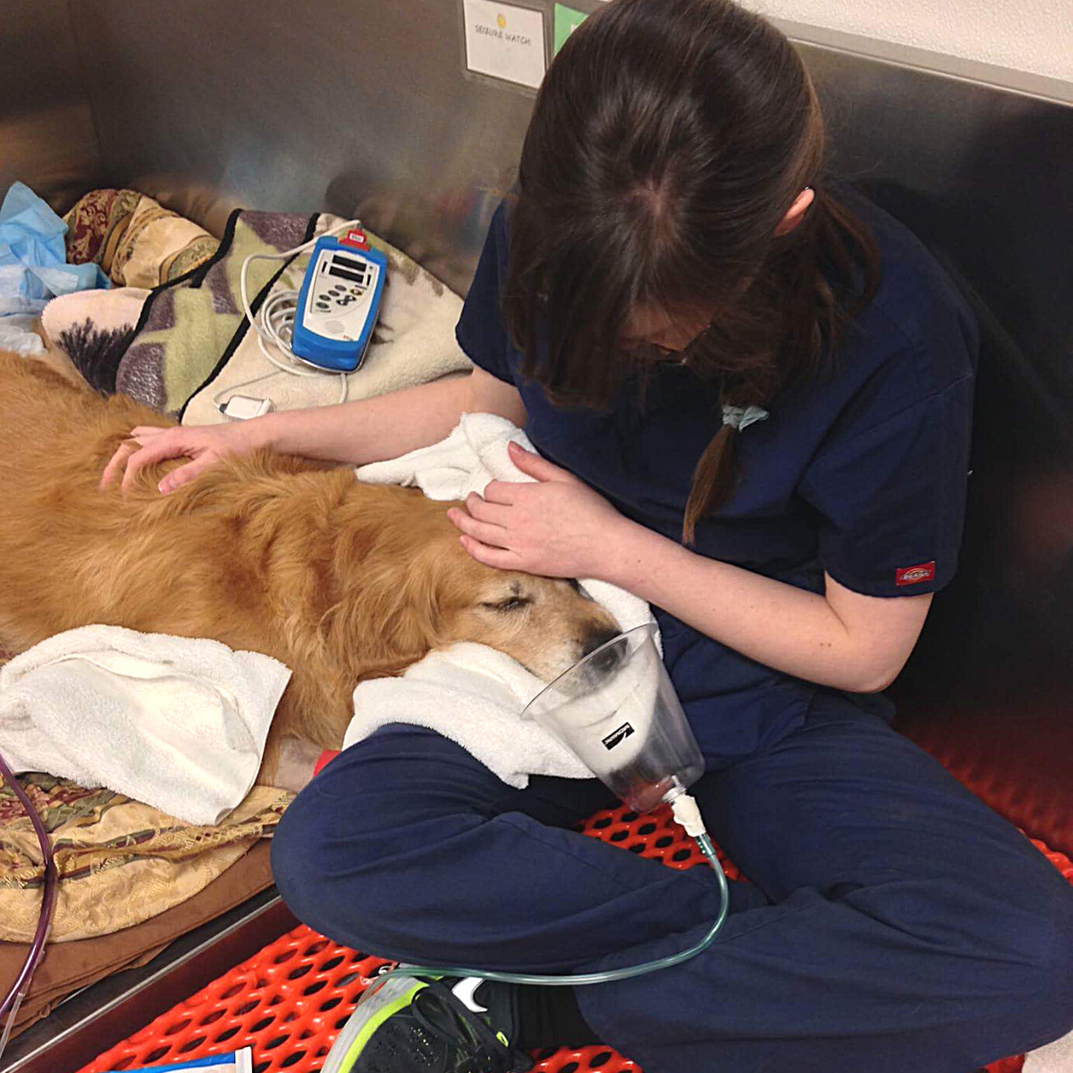 DoveLewis Veterinary Emergency & Specialty Hospital – Portland, OR