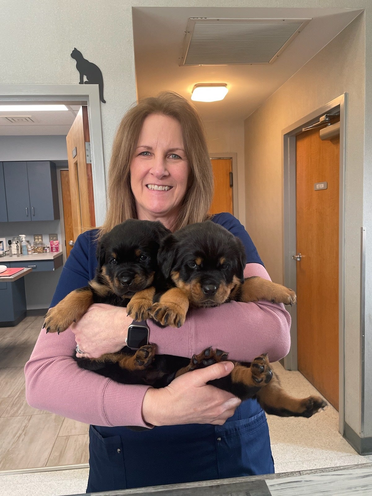 Sova Animal Hospital – Butler, NJ