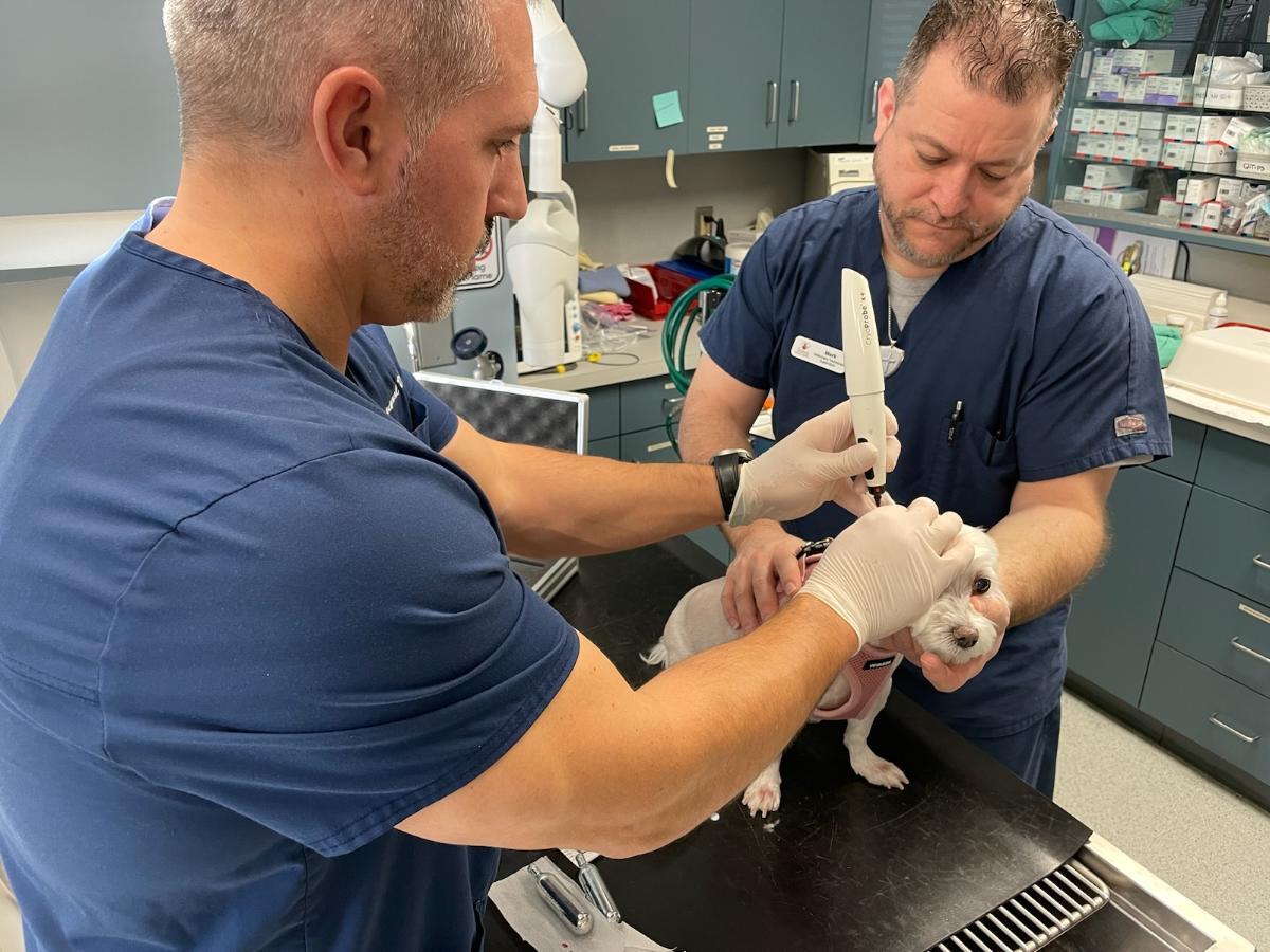 Sova Animal Hospital – Butler, NJ