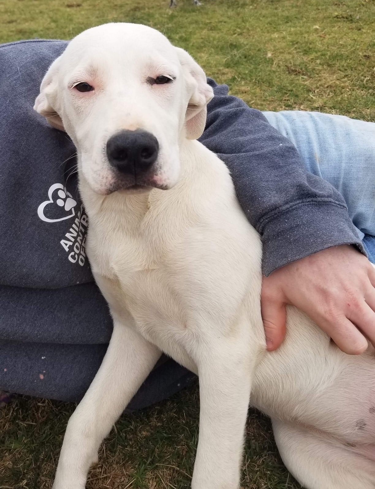 Animart – Madison, WI