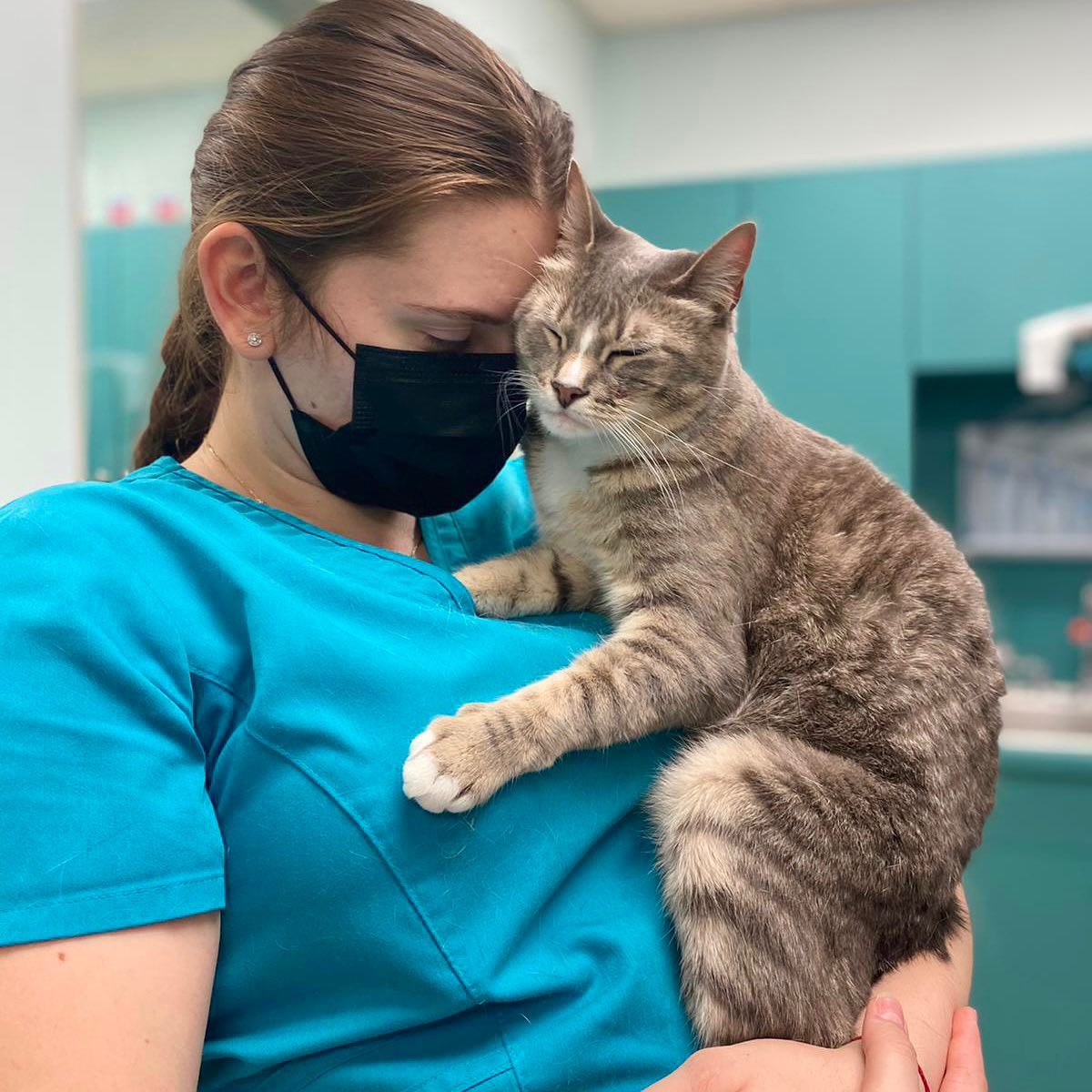 Get Pet Care Information and Find A Veterinarian Near You