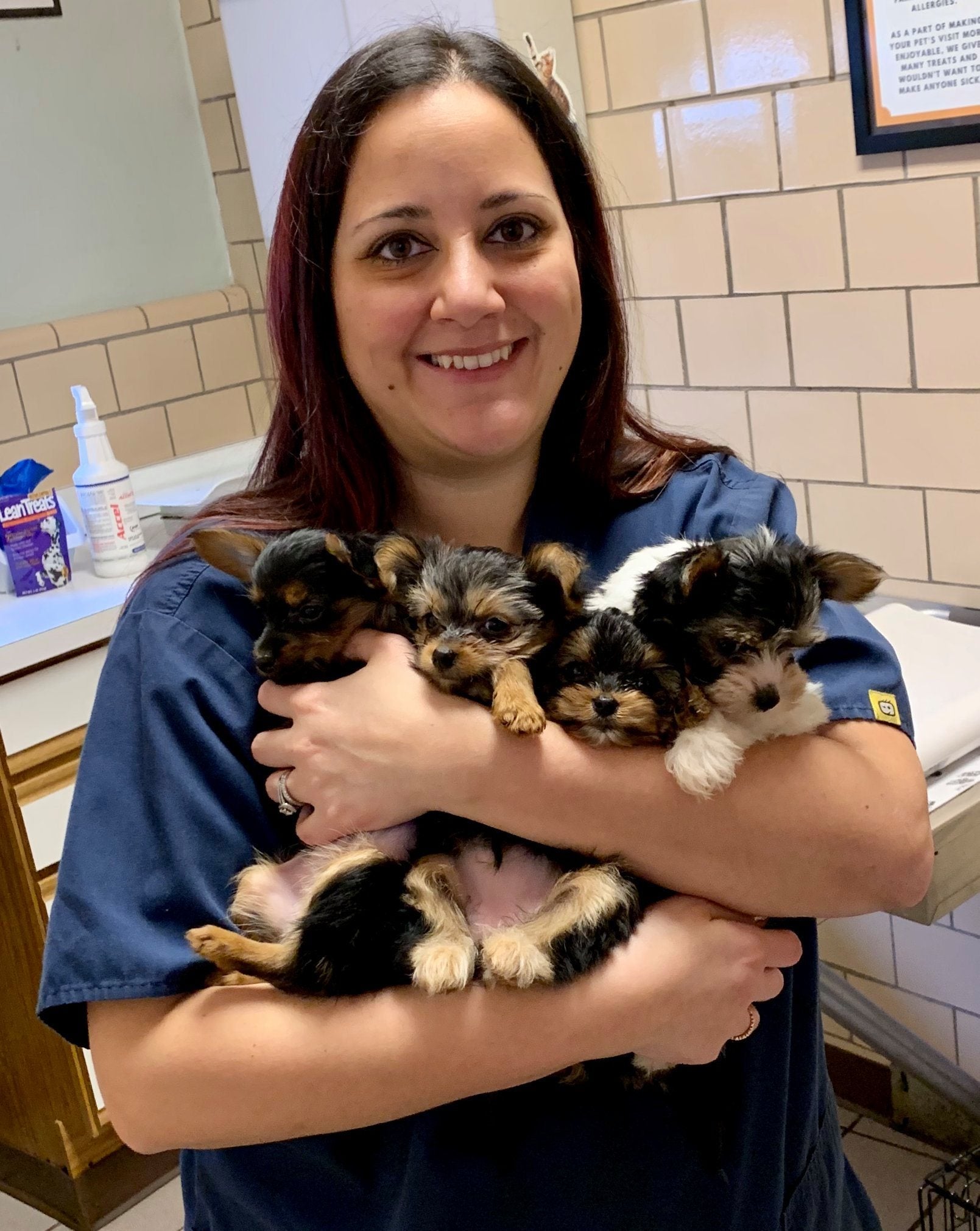 Harvey Animal Hospital – Detroit, MI