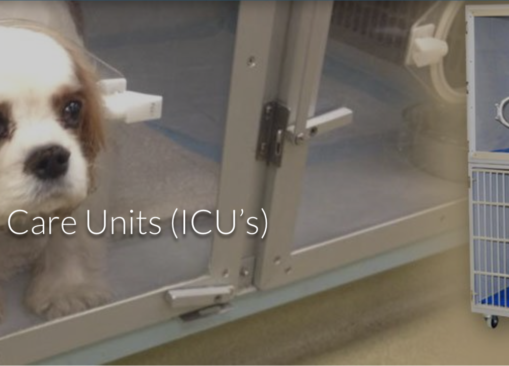 Intensive Care Units (ICU’s)