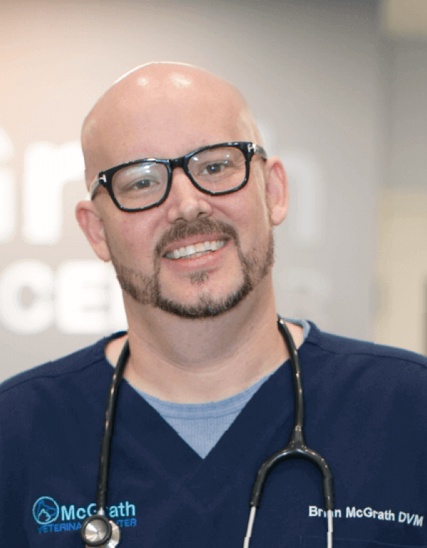 McGrath Veterinary Center – Sherman Oaks, CA