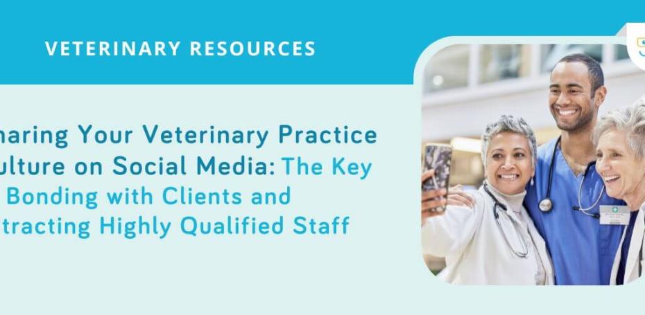 Veterinary Marketing Services