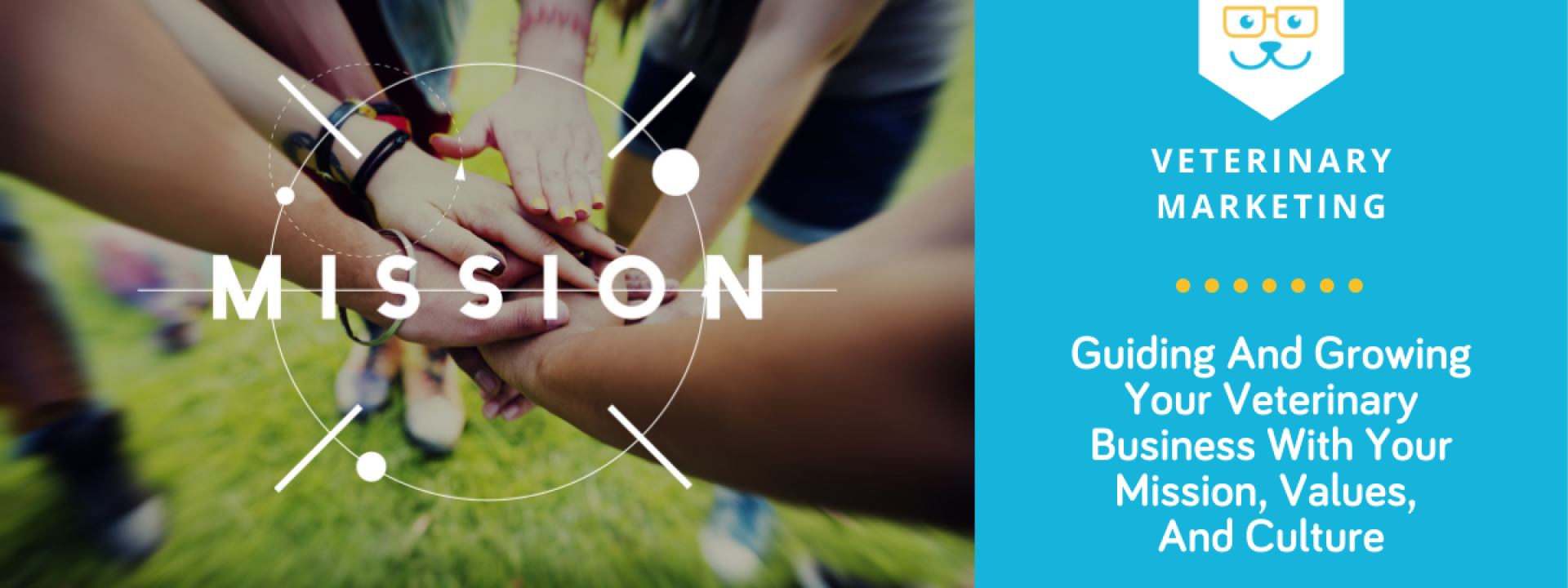 Guiding And Growing Your Veterinary Business With Your Mission, Values ...