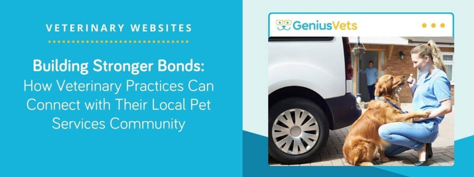 Building Stronger Bonds: How Veterinary Practices Can Connect with ...