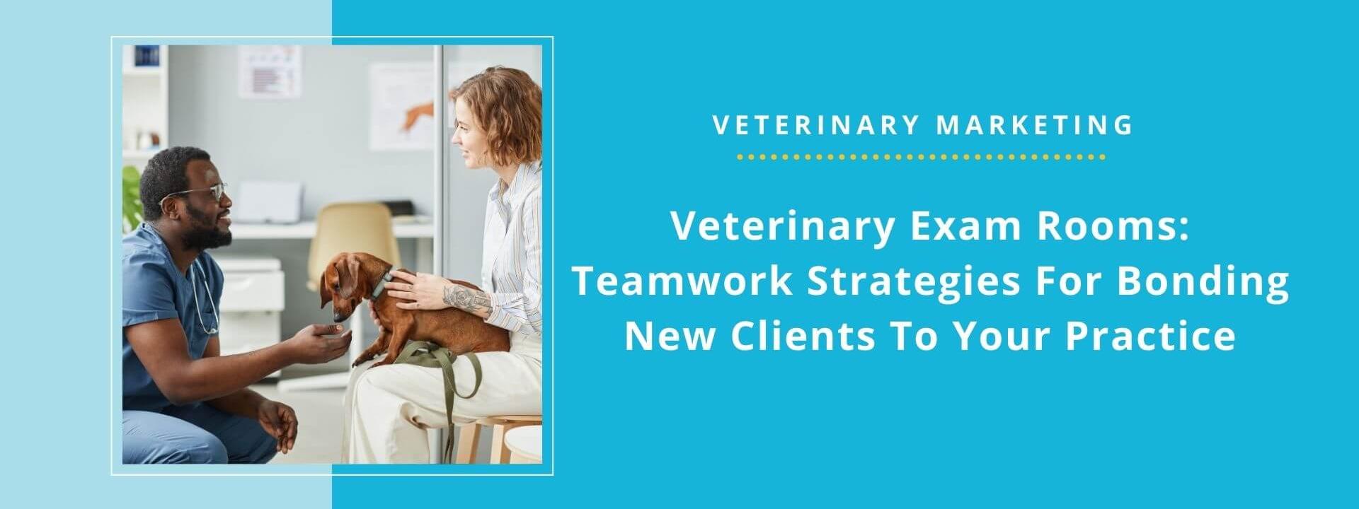 Veterinary Exam Rooms: Teamwork Strategies For Bonding New Clients To ...