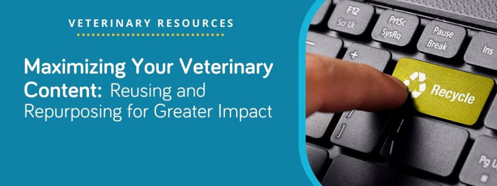 Maximizing Your Veterinary Content: Reusing and Repurposing for Greater ... Maximizing Your Veterinary Content: Reusing and Repurposing for Greater ...