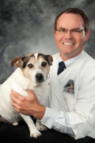 Dr. Stephen Dullard DVNM