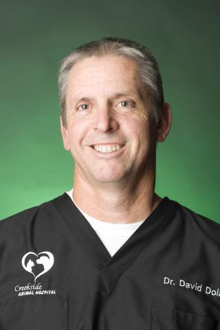 David Dolan DVM