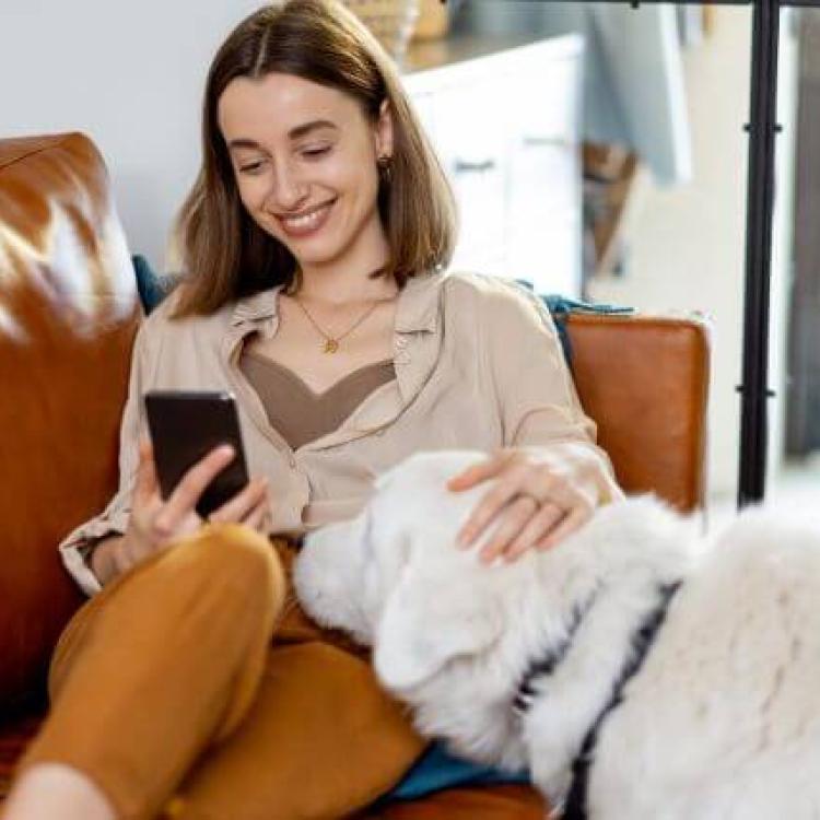 FreeStyle Libre System for Diabetic Dogs Explained