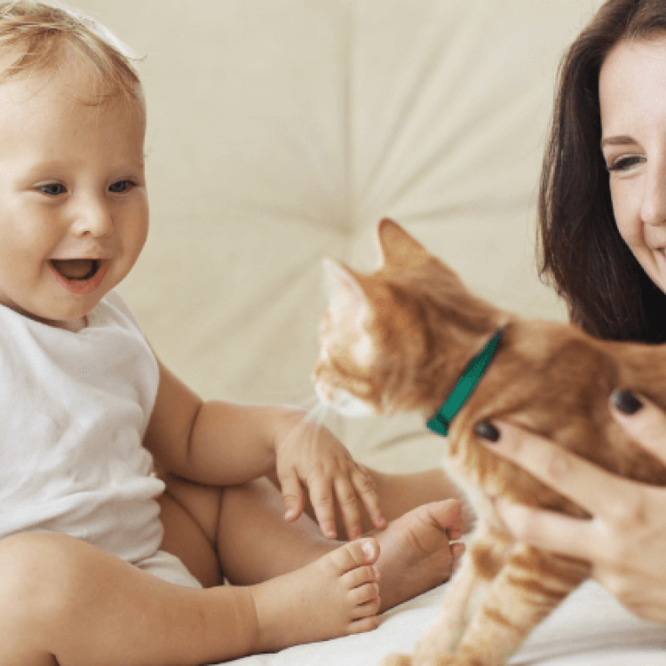New Baby? Here’s How to Prepare Your Pets and Make the Transition Easier