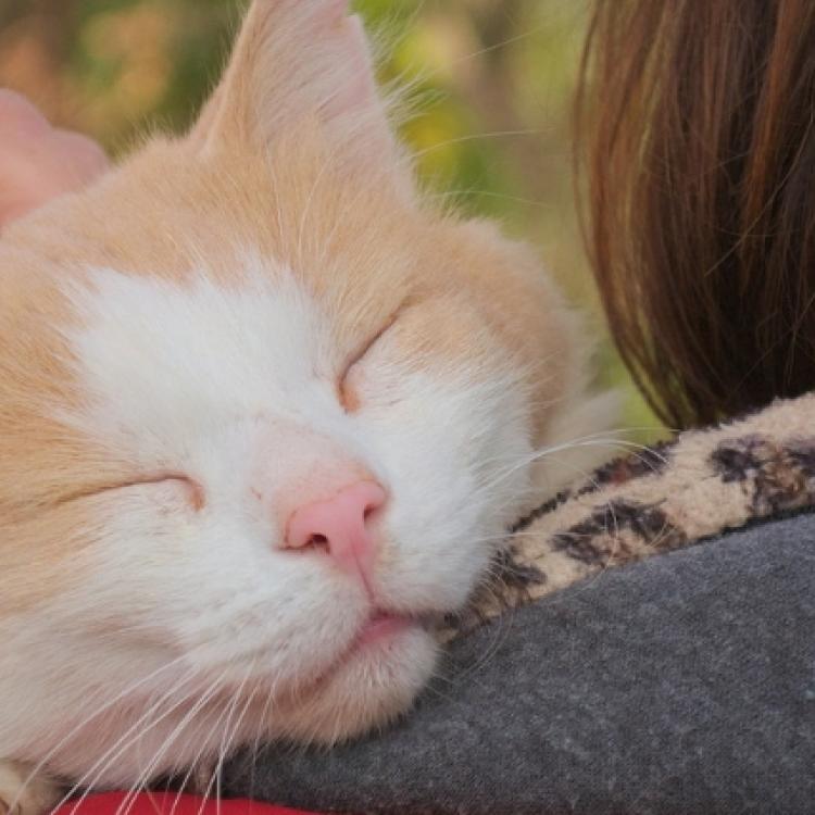 National Hug Your Pet Day...or NOT?!