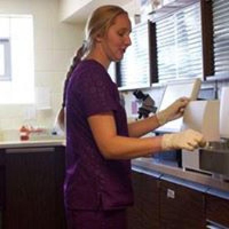 Animal Health Clinic & Hospital of Lake County – Gurnee, IL