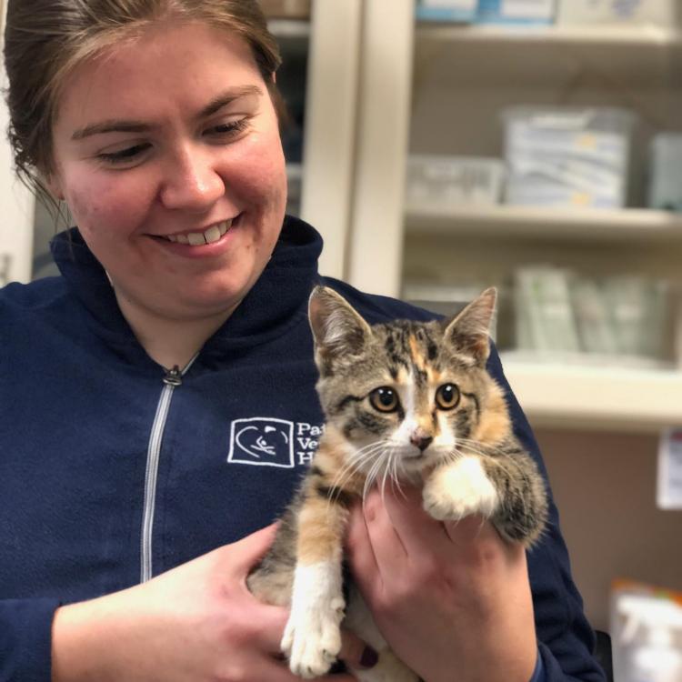Patt Veterinary Hospital Ltd – Gilbertsville, PA