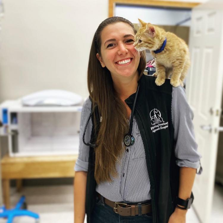 Big Spring Veterinary Diagnostic Hospital – Big Spring, TX