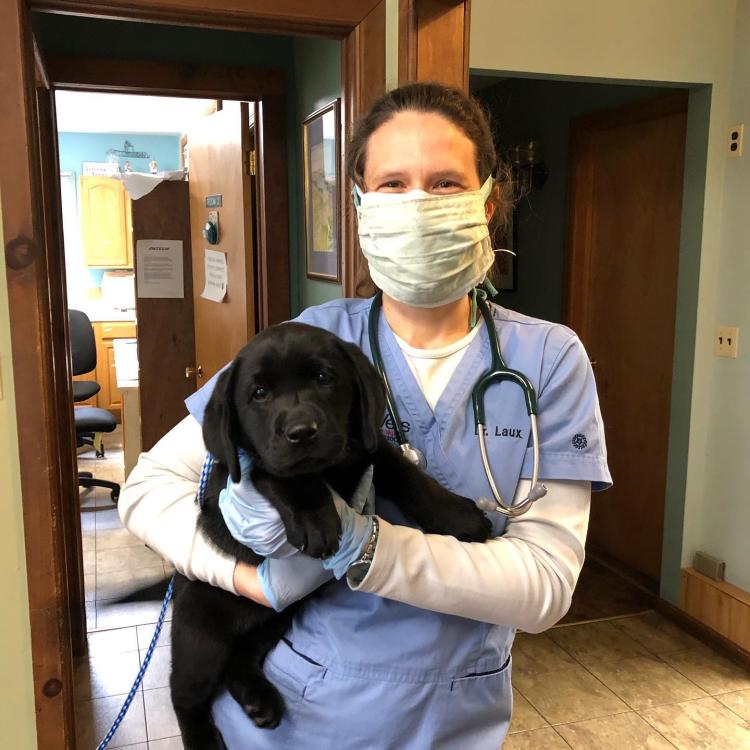 Stone Ridge Veterinary Clinic – Stone Ridge, NY