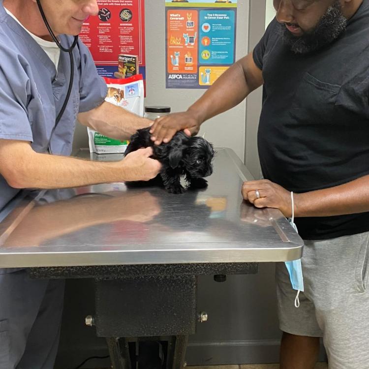 All Creatures Pet Hospital – Gardendale, AL