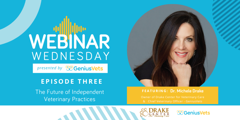 The Future of Independent Veterinary Practices, Episode 3: Dr. Michele ...