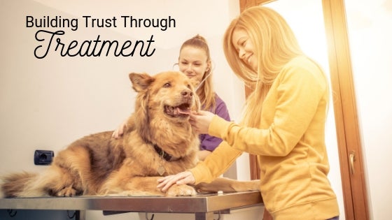 Building Trust Through Treatment During Veterinary Appointments