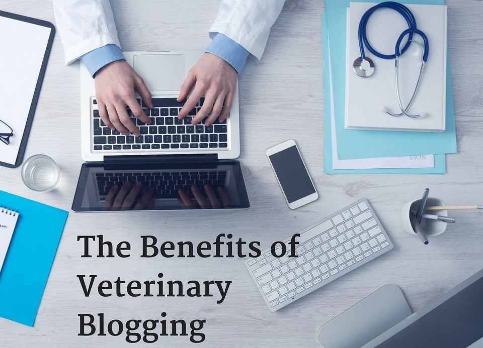 The Benefits of Veterinary Blogging